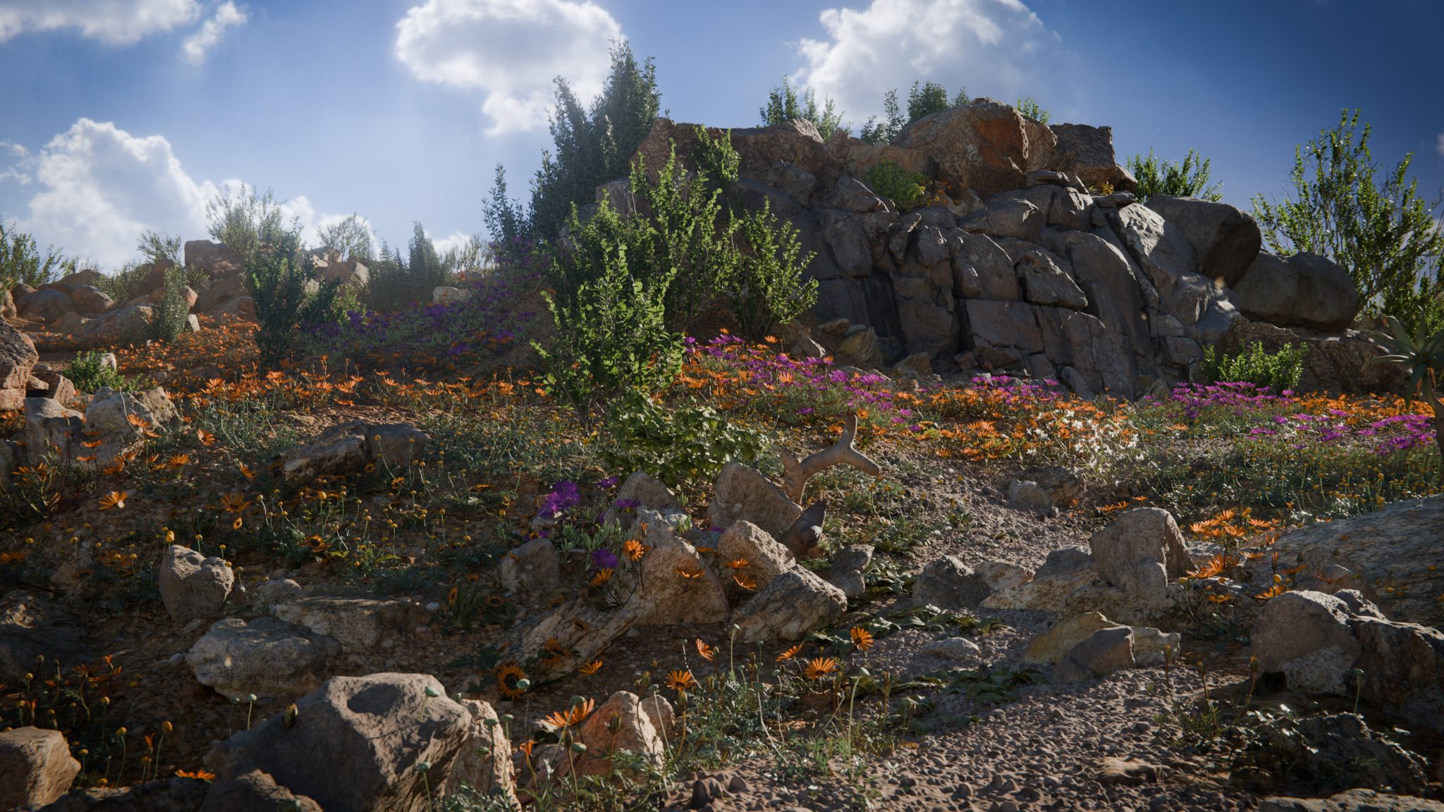 Namaqualand – Poly Haven Blog